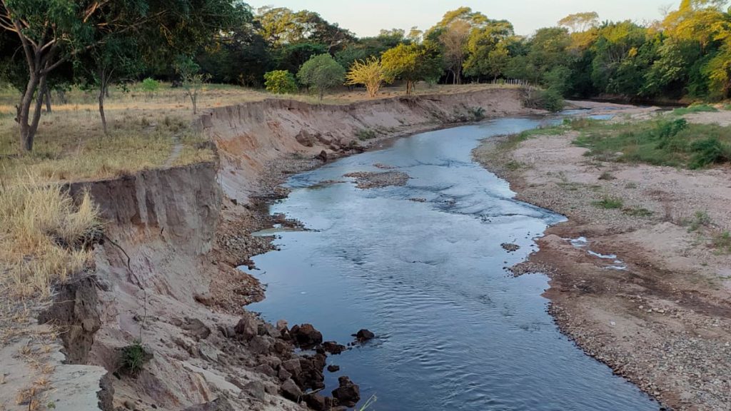 Así trabajan 30 personas por recuperar el río Cesar » Consonante