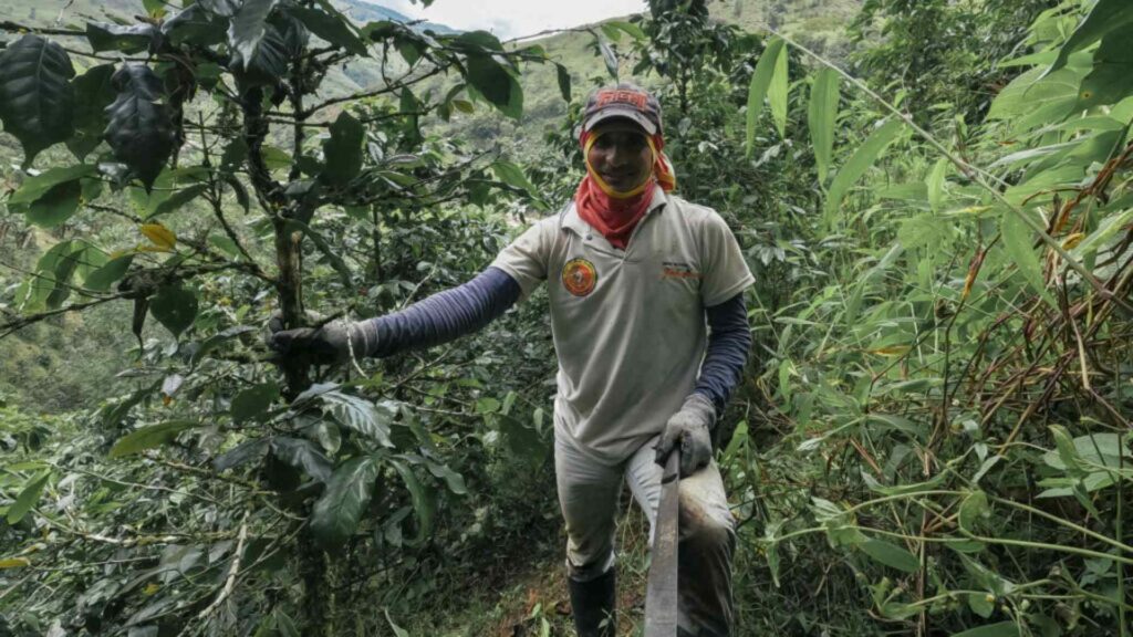 Tadó, la puerta de entrada al Chocó y “el mejor vividero del mundo ...