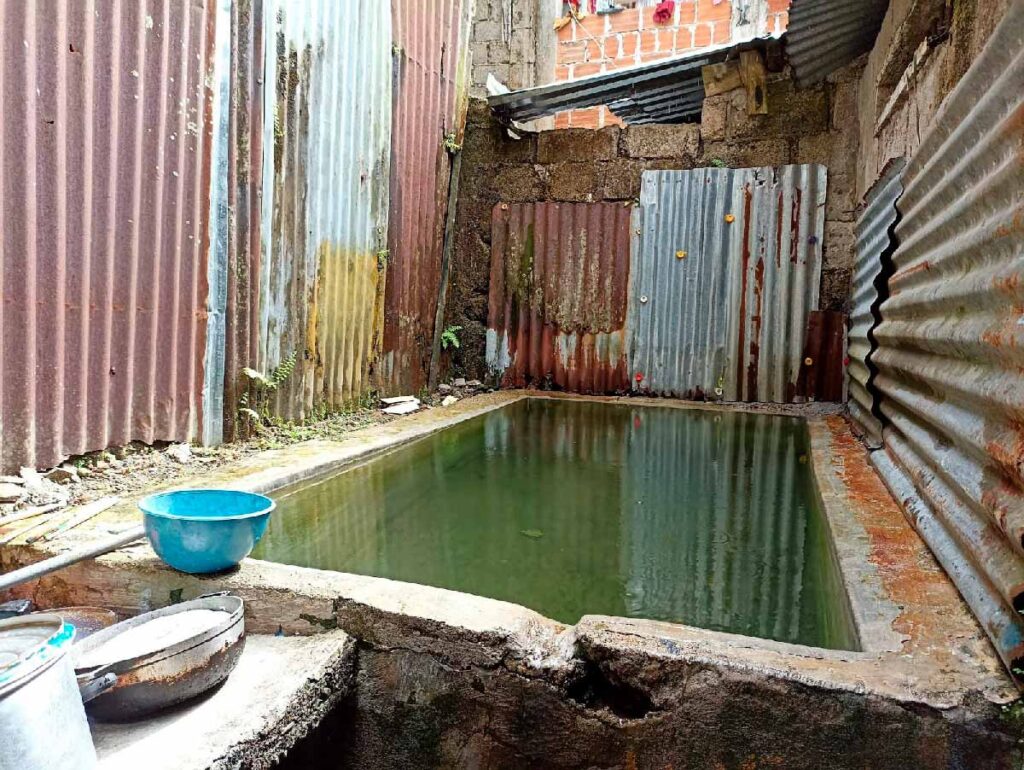 ¿Cómo limpiar su tina de agua y evitar enfermedades? » Consonante