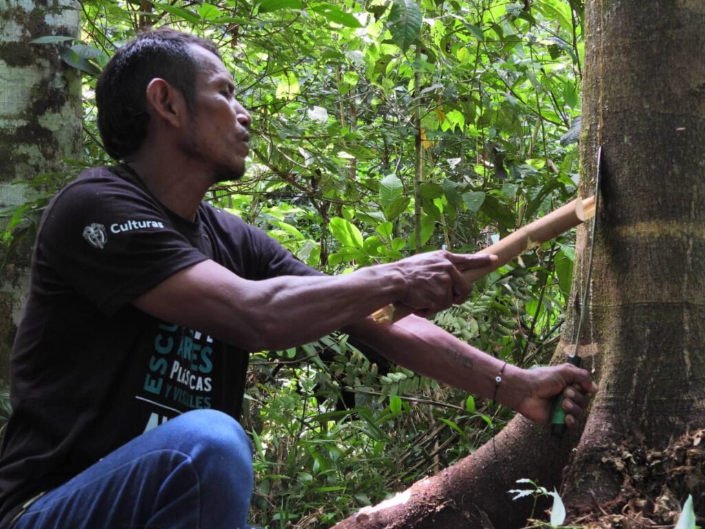 Escuela Itinerante de Artes: así se enseña y se aprende de los ...